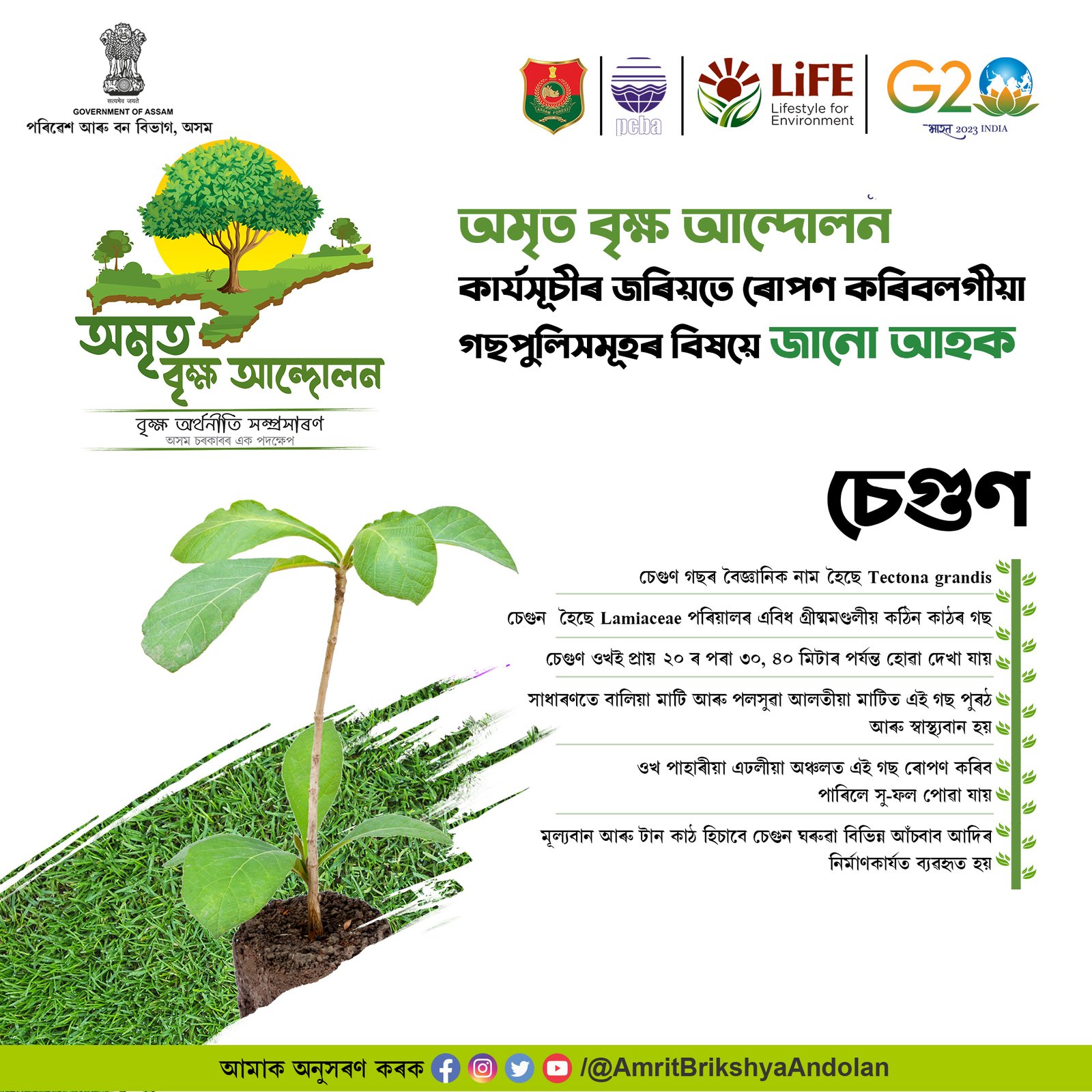 Assam Amrit Brikha Andolan 2024: Registration & Renewal