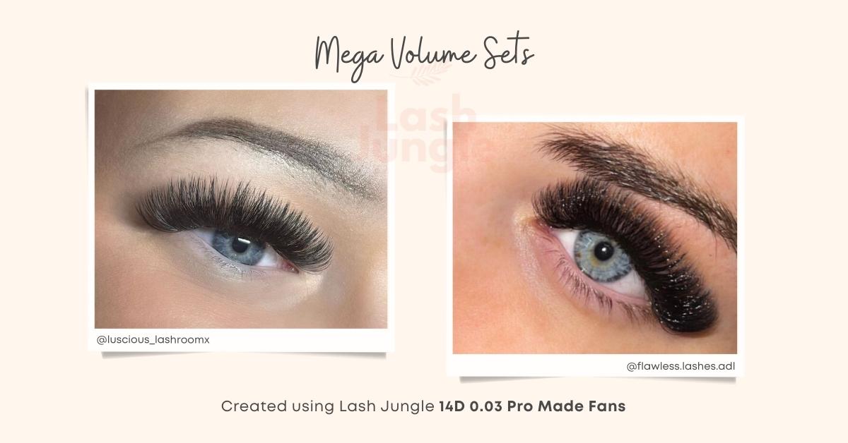 The Complete Guide to Mega Volume Lashes - The Product Guide