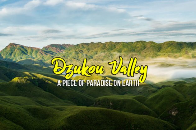 Dzukou Valley: The Ultimate Travel (Trekking) Guide - Magical Assam